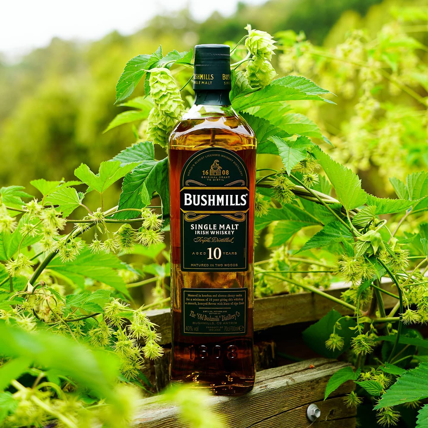 About Us - Scott's Whisky Australia